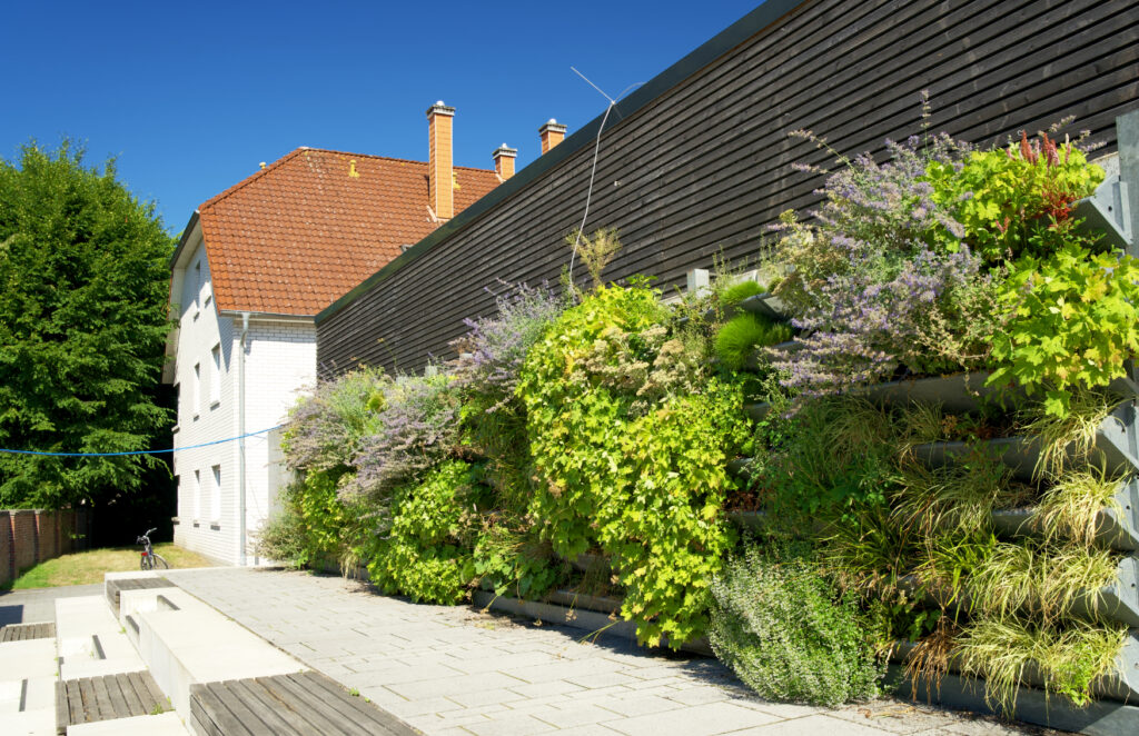 Groene wand pakket 2: 180 x 175cm (l x h) - Save Wall